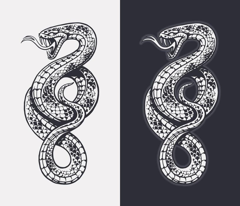 Snake Vector Art, Icons, and Graphics for Free Download