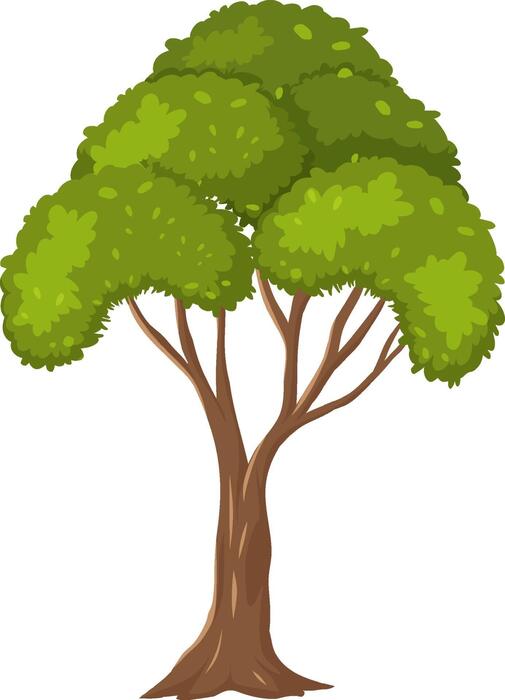 2d Tree Vector Art, Icons, and Graphics for Free Download