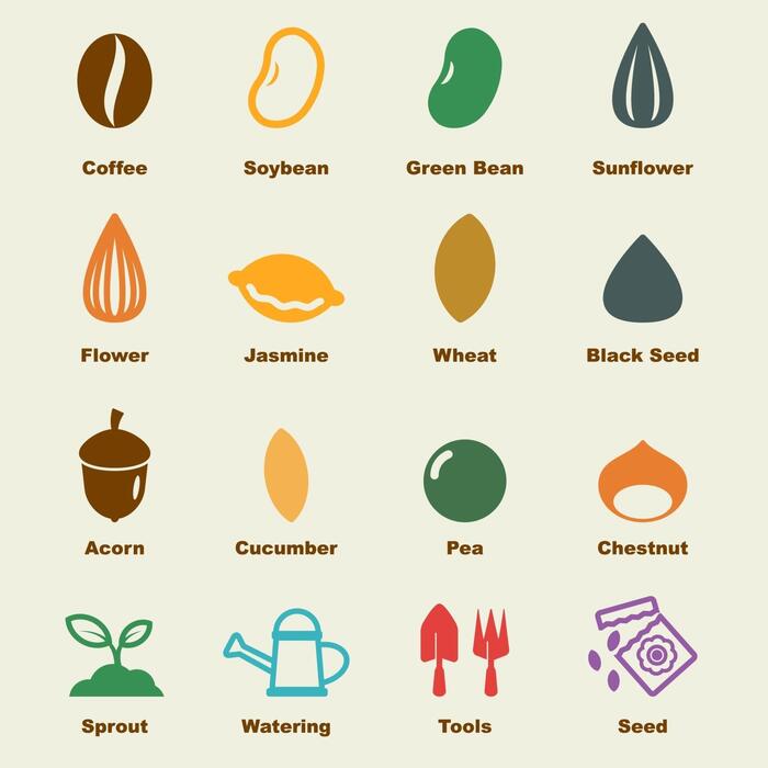 Page 2 | Parts Of A Seed Vector Art, Icons, and Graphics for Free Download