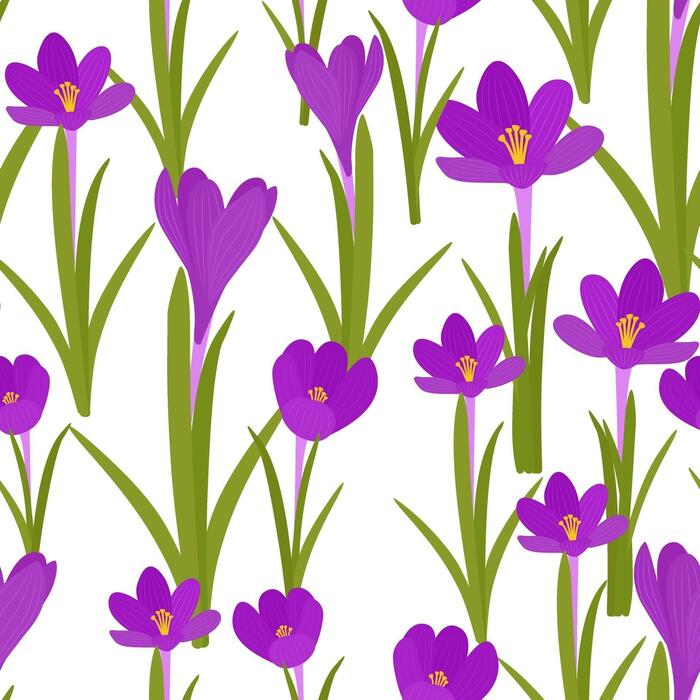 Pattern Background Vector Art, Icons, and Graphics for Free Download