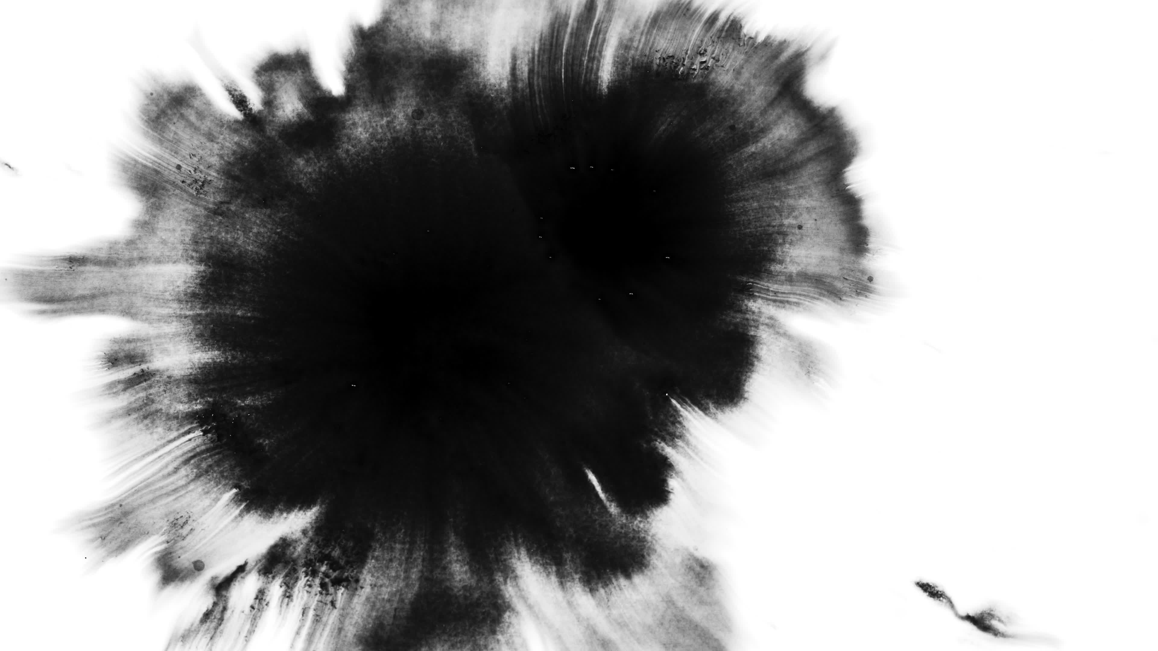 Ink Drop Stock Video Footage for Free Download Ink Drop Stock Video Footage for Free Download
