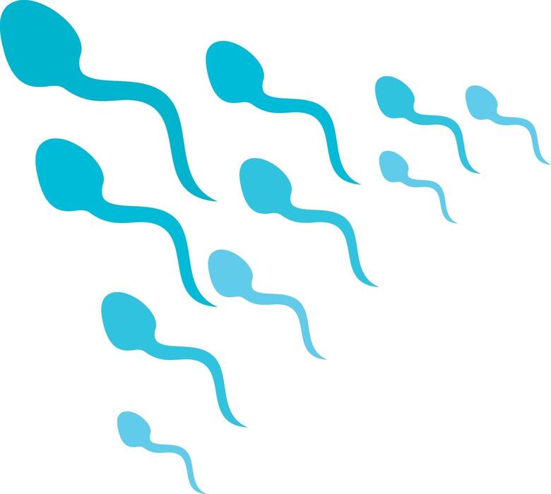 Sperm Vector Art, Icons, and Graphics for Free Download