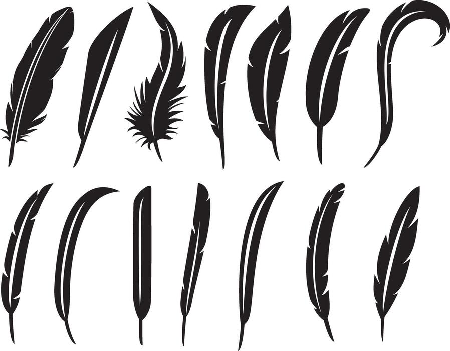 Feather Vector Art, Icons, and Graphics for Free Download
