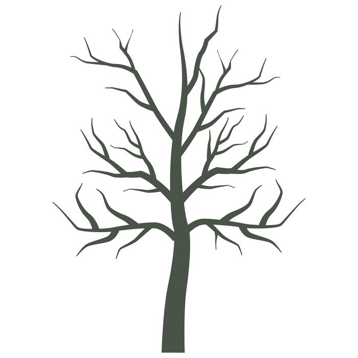 Leafless Tree Vector Art, Icons, and Graphics for Free Download