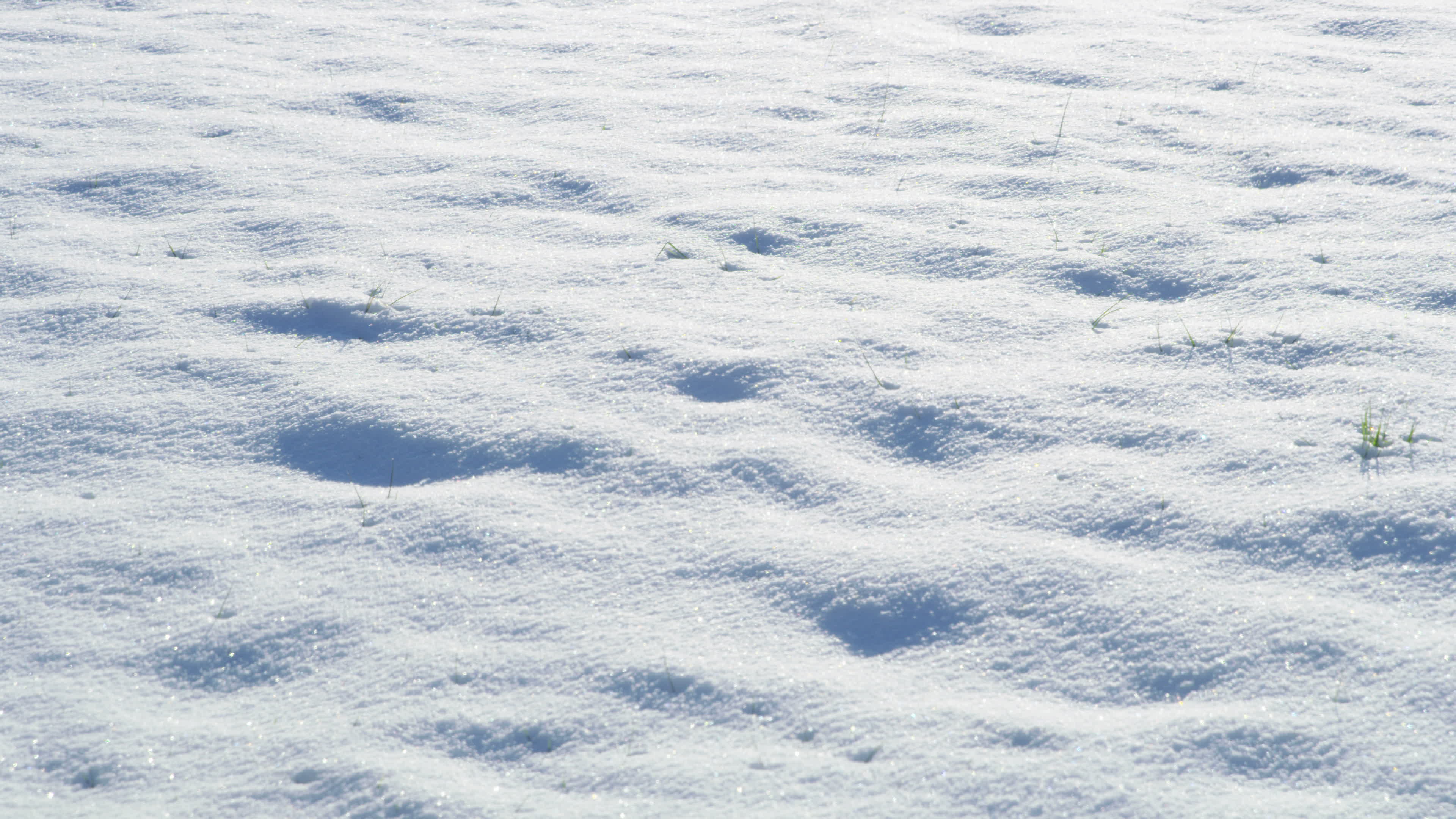 Texture of fresh winter snow on ground 2571463 Stock Video at Vecteezy