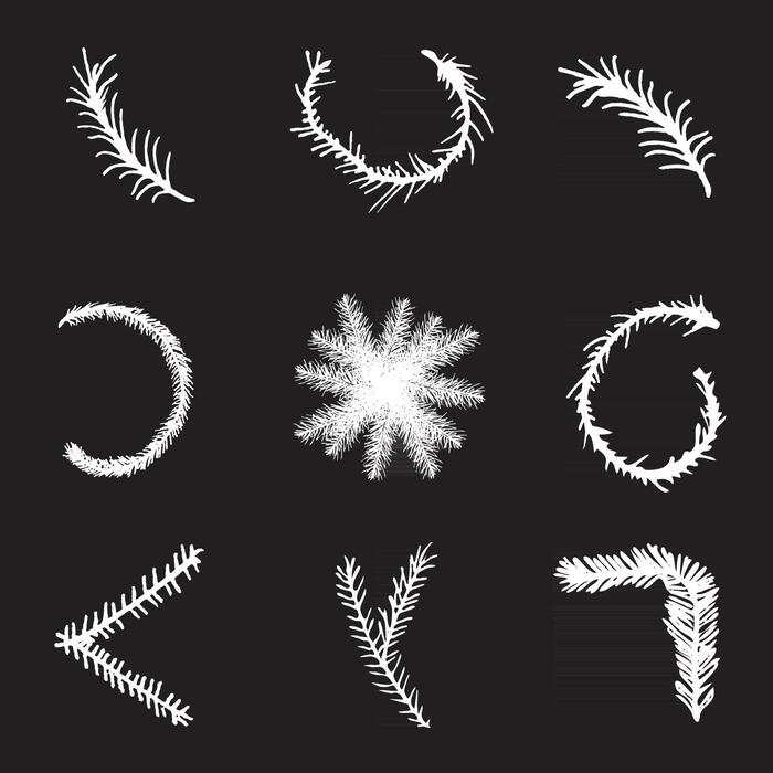 Hand Drawn Pine Tree Vector Art, Icons, and Graphics for Free Download