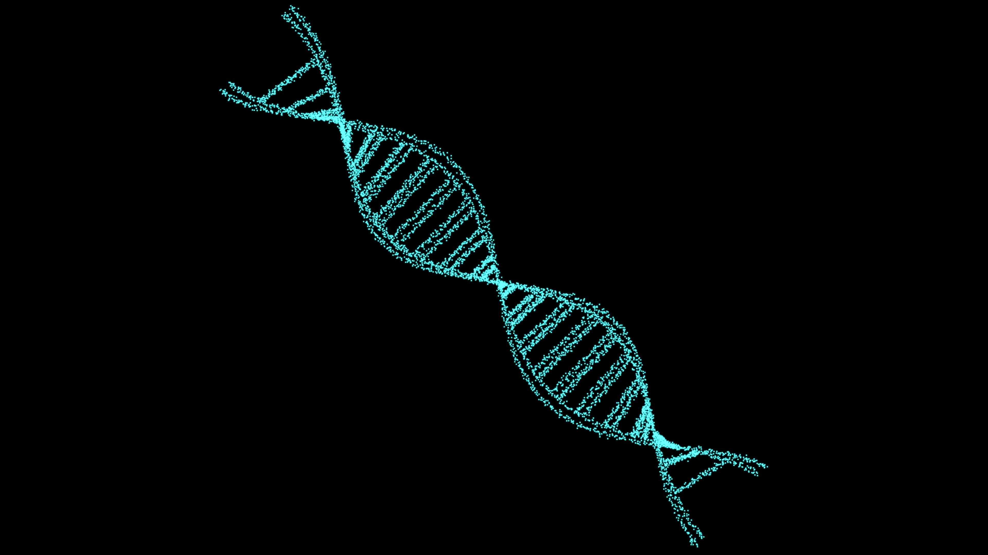 Dna Structure Animation