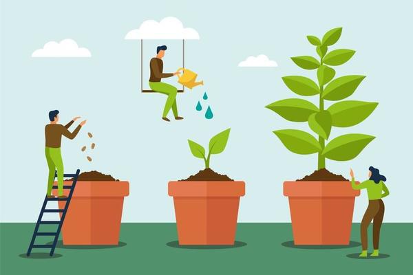 Plant Growth Vector Art Icons And Graphics For Free Download