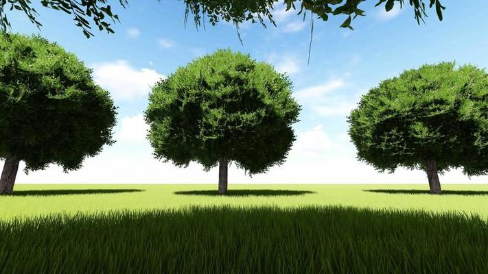 Growing Tree Animation Stock Video Footage for Free Download