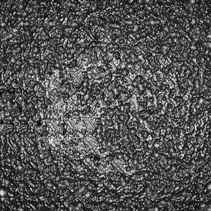 Paper Texture Vector Art, Icons, and Graphics for Free Download