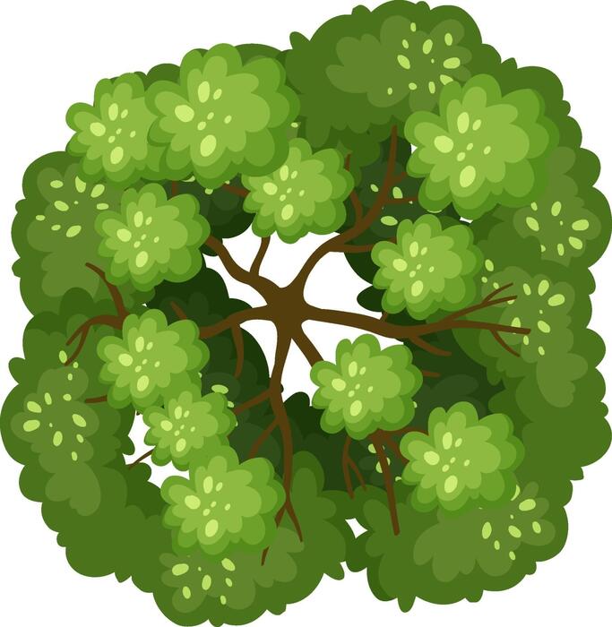 Tree Plan Vector Art, Icons, and Graphics for Free Download