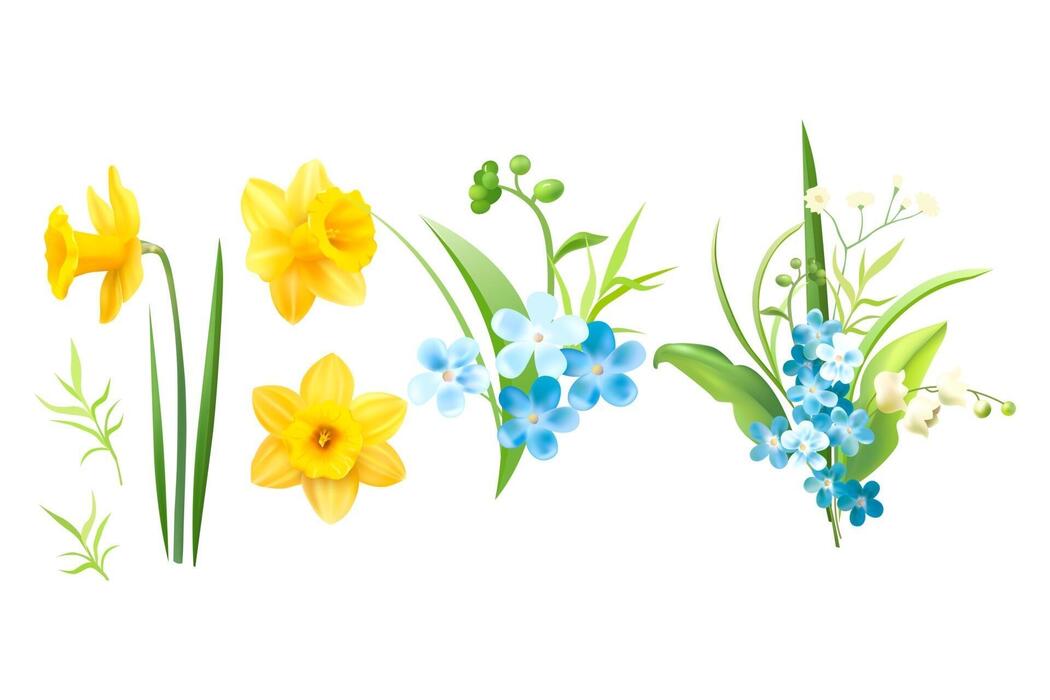 Spring Flowers Vector Art, Icons, and Graphics for Free Download