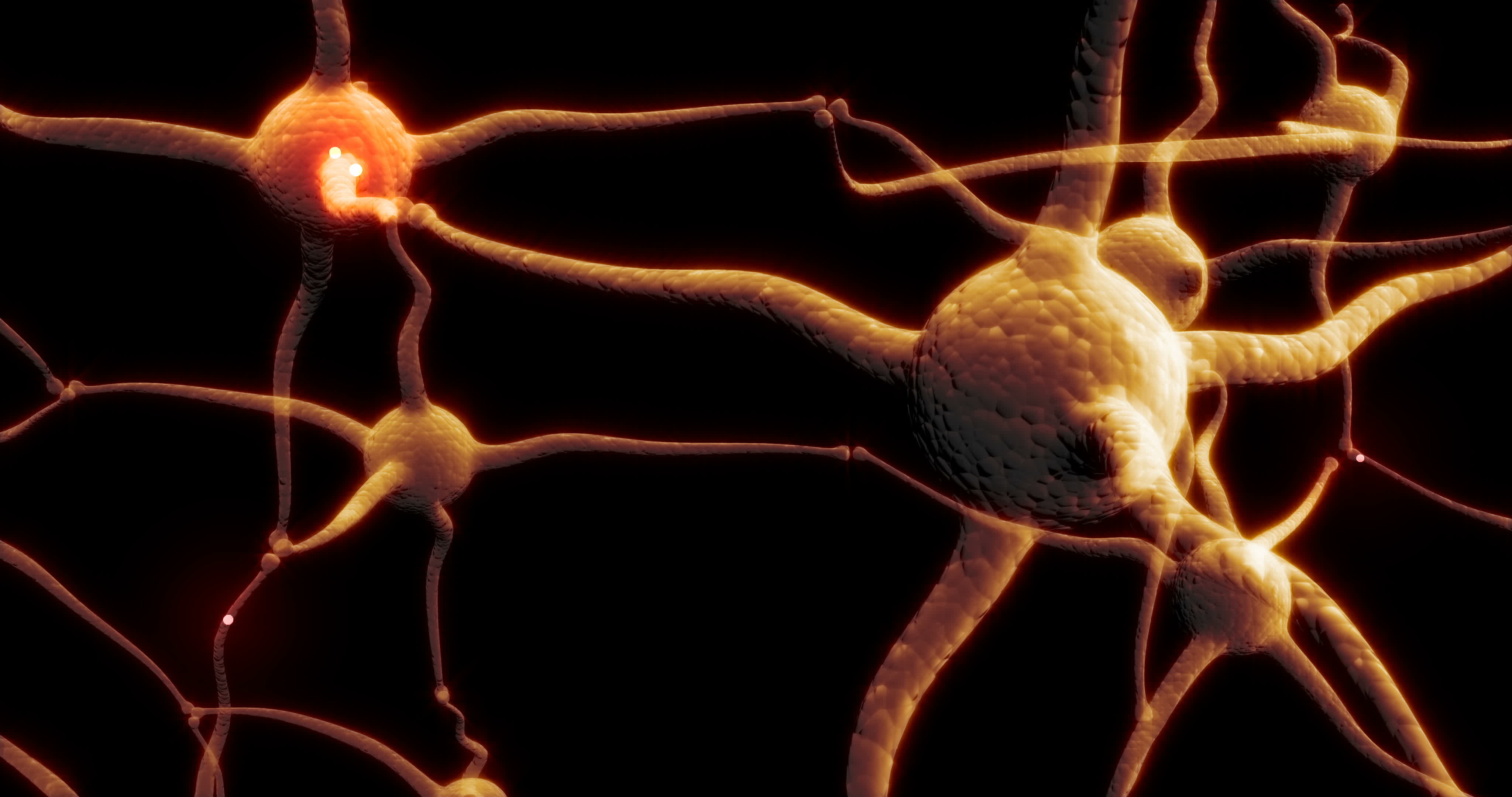 Real Neuron synapse network with red electric impulse activity able to ... Real Neuron synapse network with red electric impulse activity able to ...