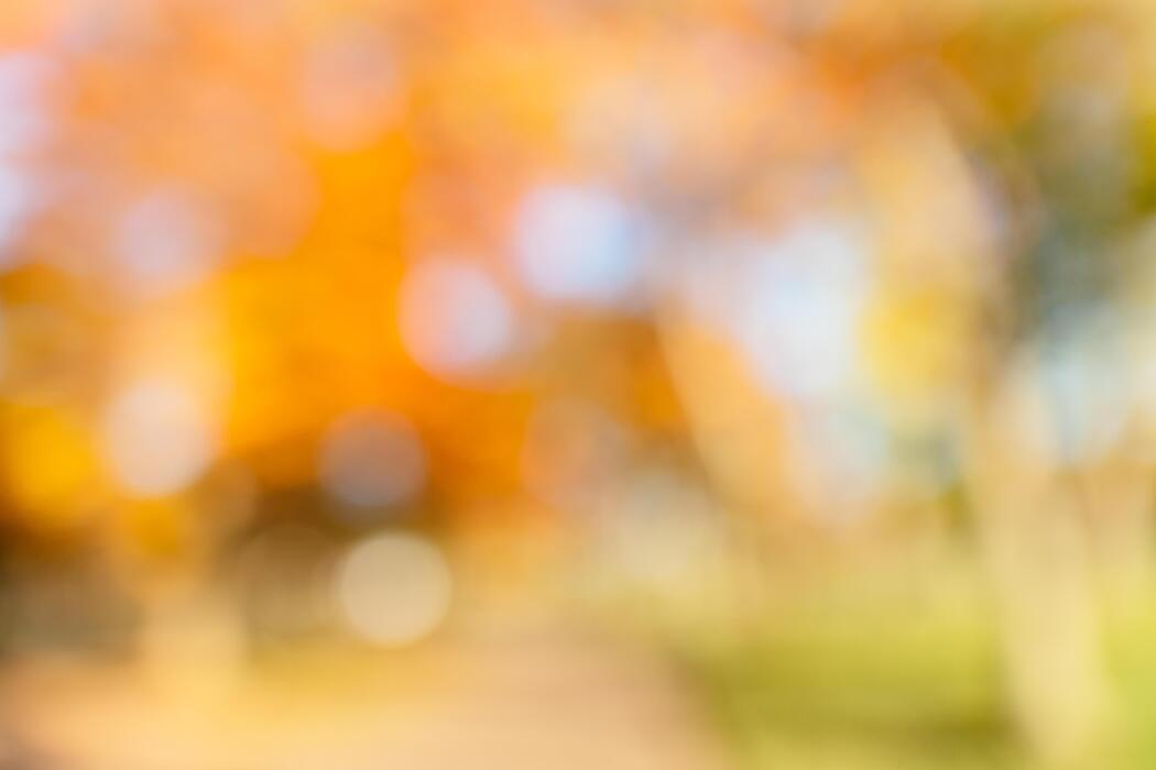 Autumn Background Stock Photos, Images and Backgrounds for Free Download