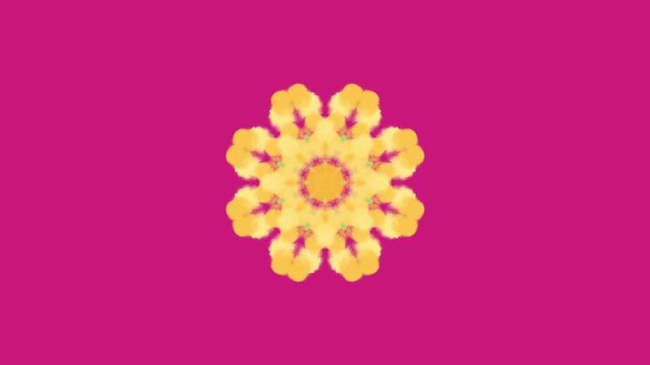 Flower Rotate Stock Video Footage for Free Download