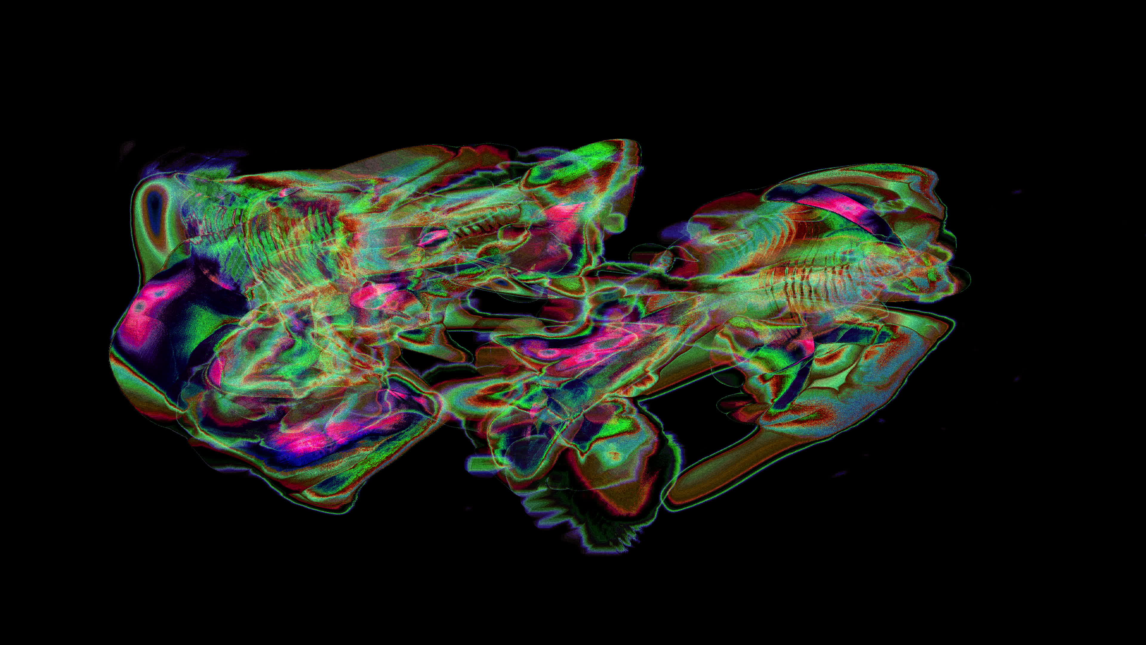 Abstract video background - Loop 3316312 Stock Video at Vecteezy