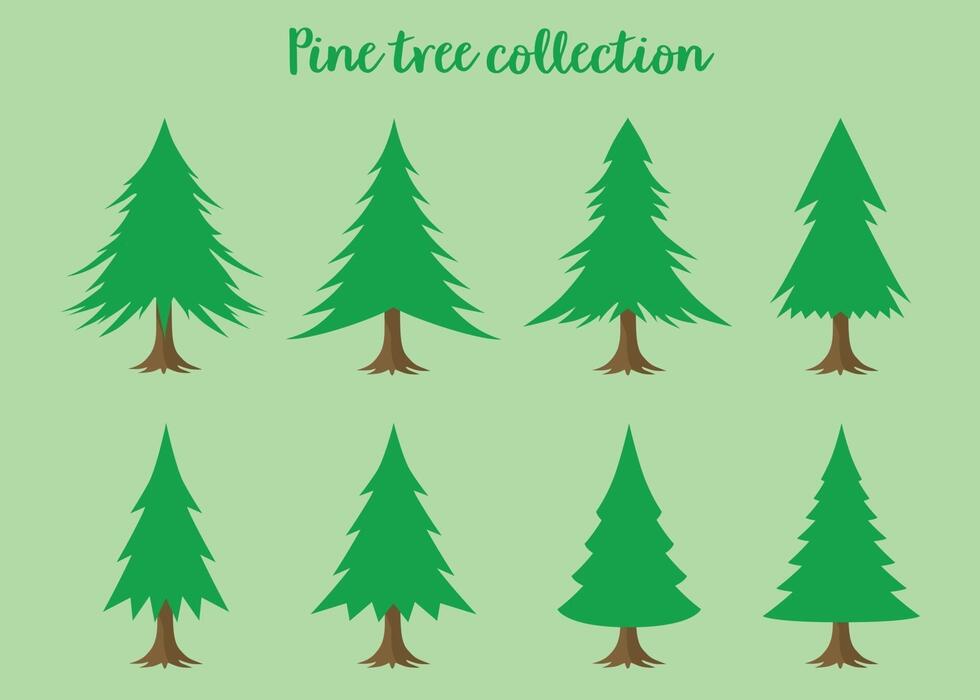 Pine Tree Vector Art, Icons, and Graphics for Free Download