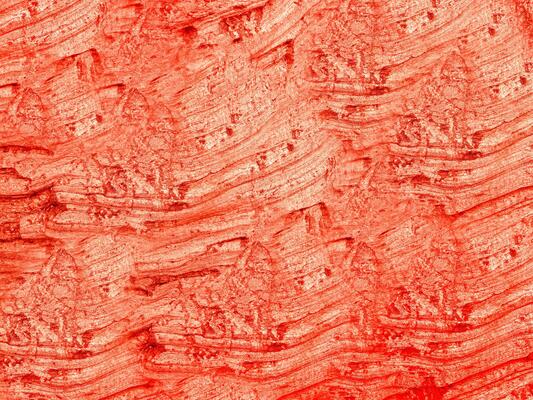 Red Carpet Texture Stock Photos, Images and Backgrounds for Free Download Red Carpet Texture Stock Photos, Images and Backgrounds for Free Download