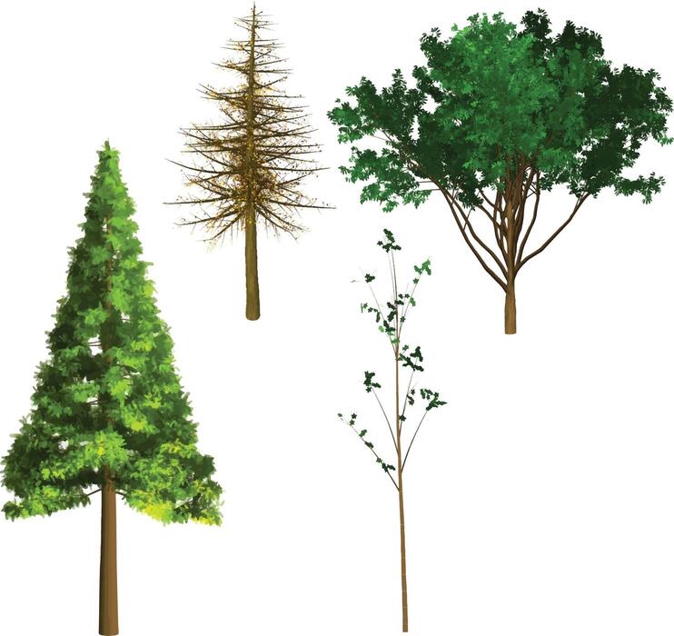 Tree Vector Art, Icons, and Graphics for Free Download