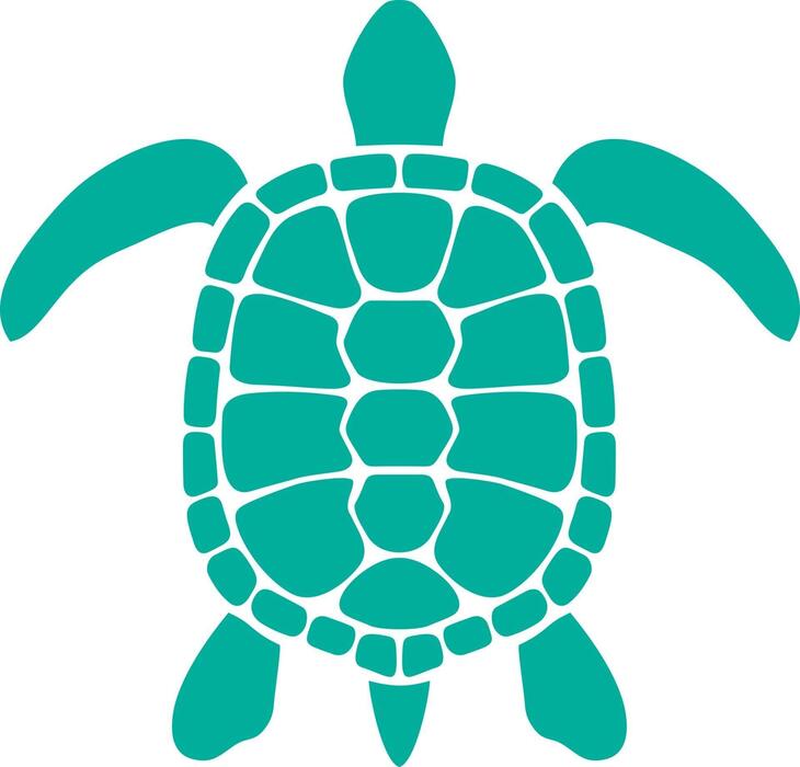 Turtle Vector Art, Icons, and Graphics for Free Download
