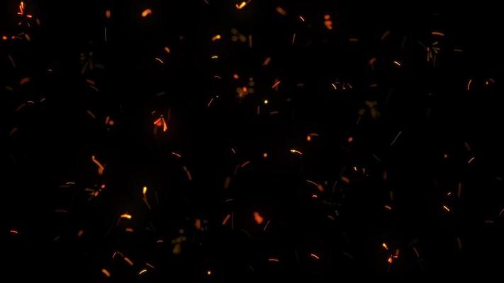 Stock Video Footage for Free Download