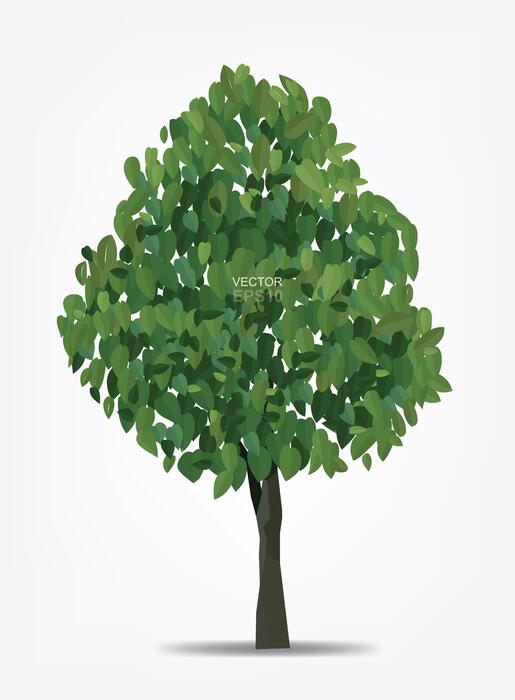 Tree Architecture Vector Art, Icons, and Graphics for Free Download