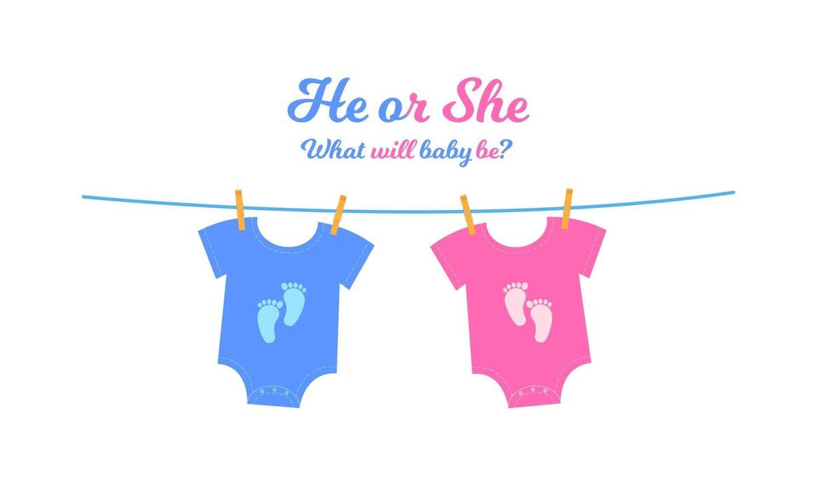 Baby Gender Reveal Vector Art, Icons, and Graphics for Free Download