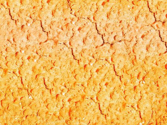 Bakery Texture Stock Photos, Images and Backgrounds for Free Download