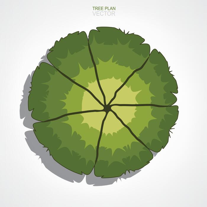 Page 2 | Tree Plan Vector Art, Icons, and Graphics for Free Download