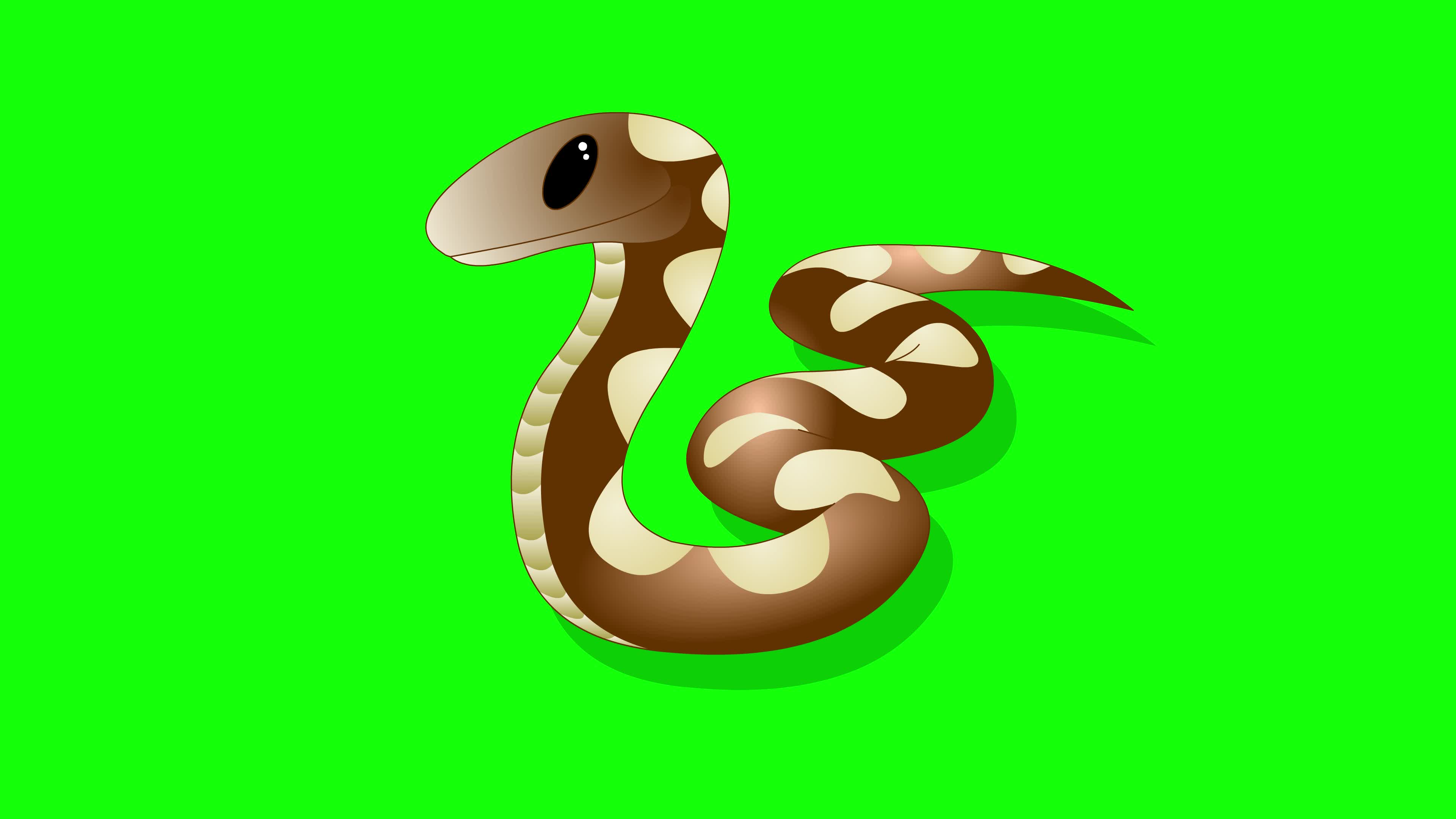 Green Screen Snake Stock Video Footage for Free Download
