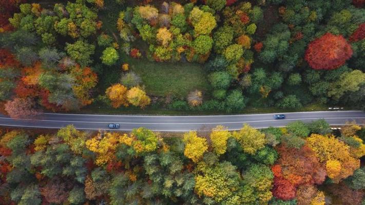 Download Free HD and 4K Stock Video, Footage, & Clips