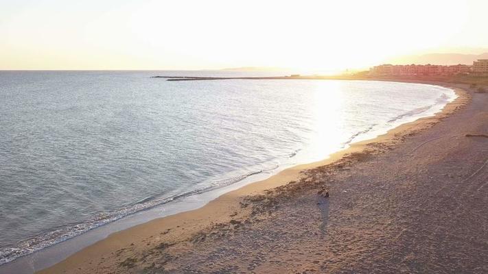 Beach Loop Stock Video Footage For Free Download