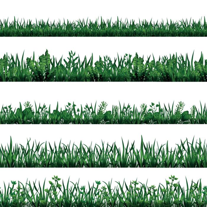 Grass Border Vector Art, Icons, and Graphics for Free Download
