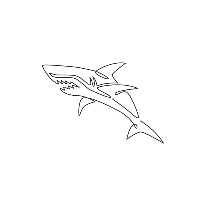 Shark Line Drawing Vector Art, Icons, and Graphics for Free Download
