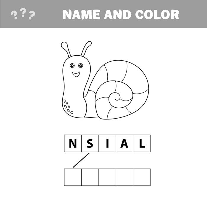 Snail Coloring Page Vector Art, Icons, and Graphics for Free Download