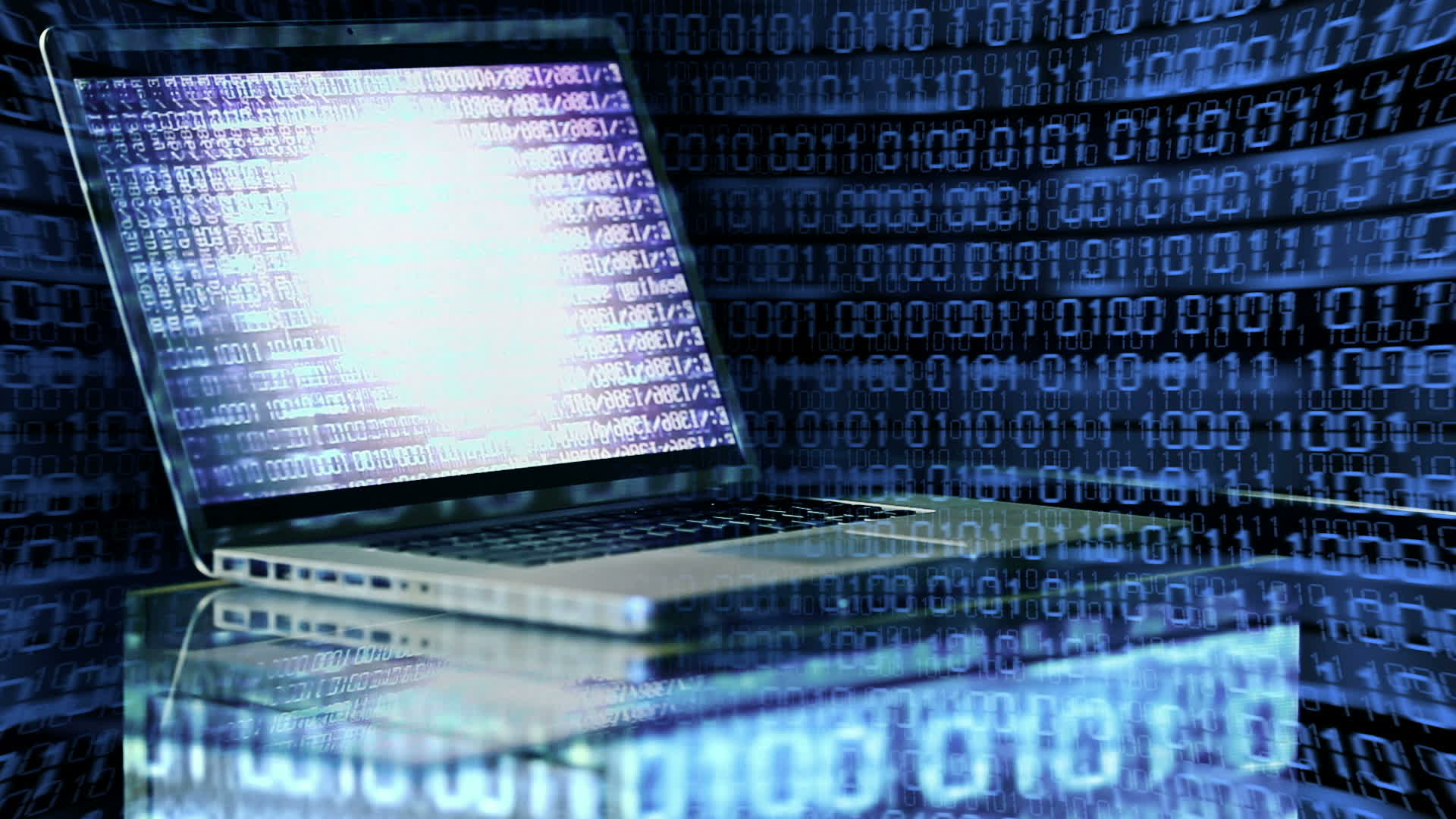 Computer bug - Loop ready 4621876 Stock Video at Vecteezy