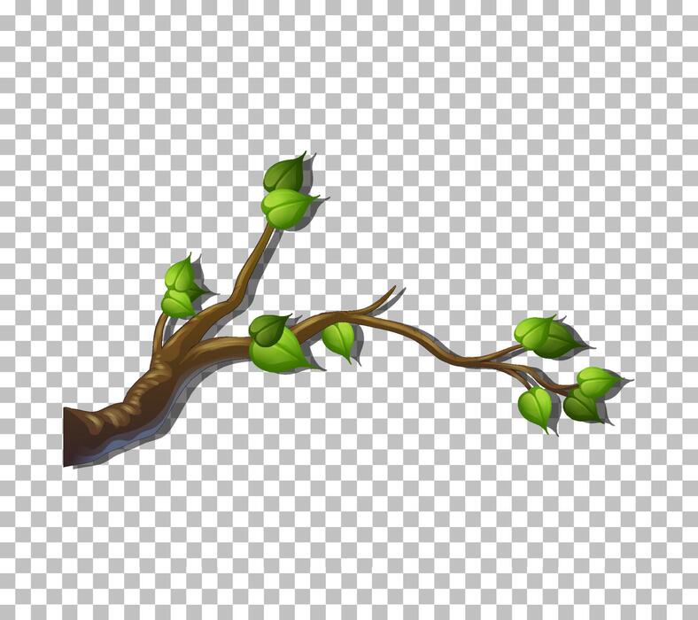 Tree Branch Vector Art, Icons, and Graphics for Free Download