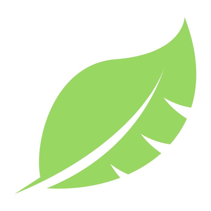 Philodendron Split Leaf 4672441 Vector Art at Vecteezy