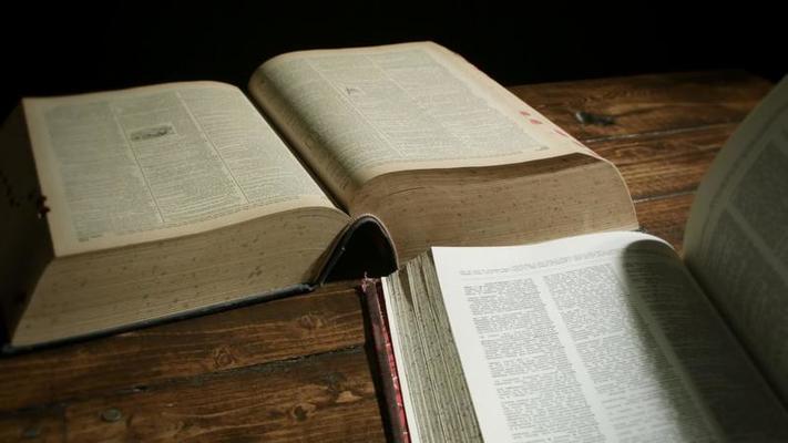 Reading Book Stock Video Footage for Free Download