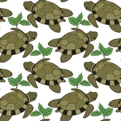 Turtle Shell Pattern Vector Art, Icons, and Graphics for Free Download
