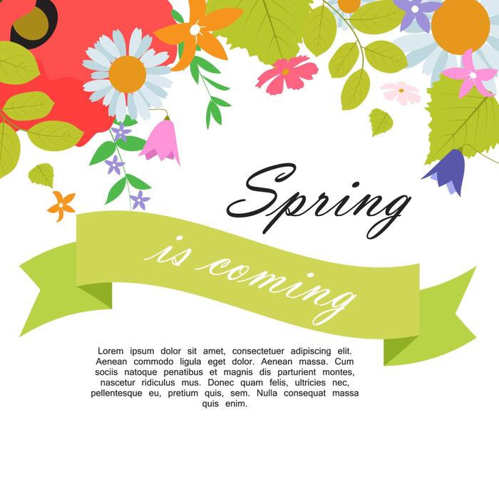 Vect Vector Art, Icons, and Graphics for Free Download