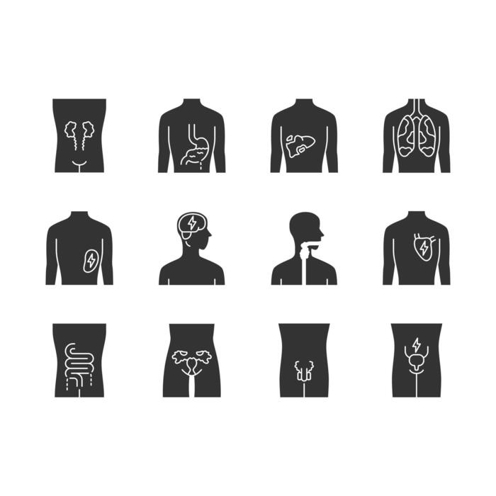 Human Body Silhouette Vector Art, Icons, and Graphics for Free Download