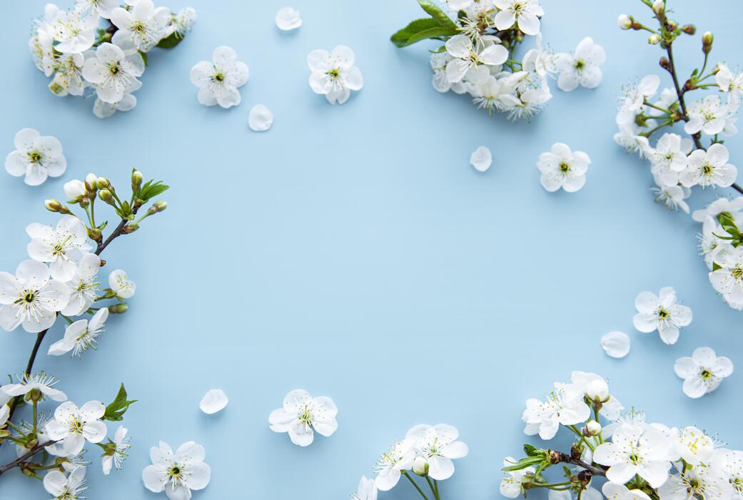 Spring Stock Photos, Images and Backgrounds for Free Download