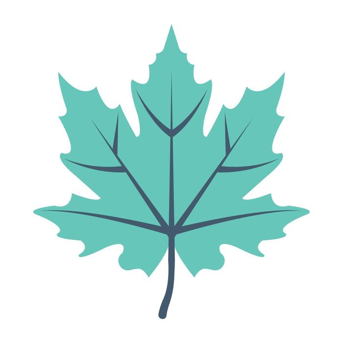 Maple Leaf Vector Art, Icons, and Graphics for Free Download