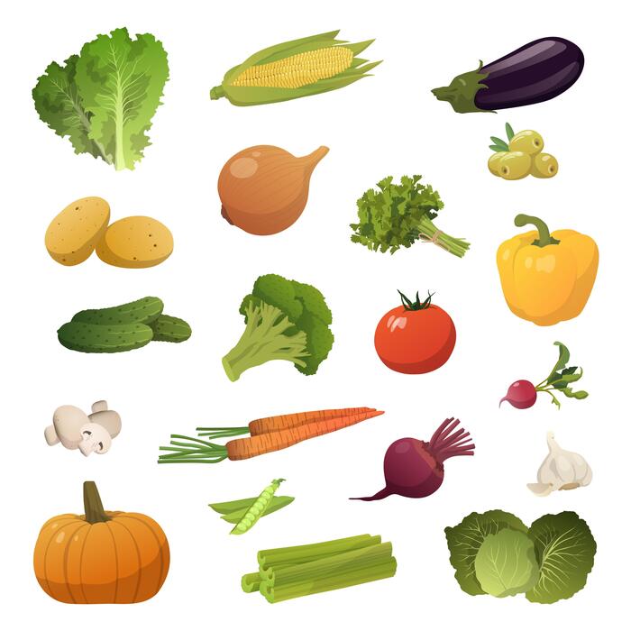 Vegetables Vector Art, Icons, and Graphics for Free Download