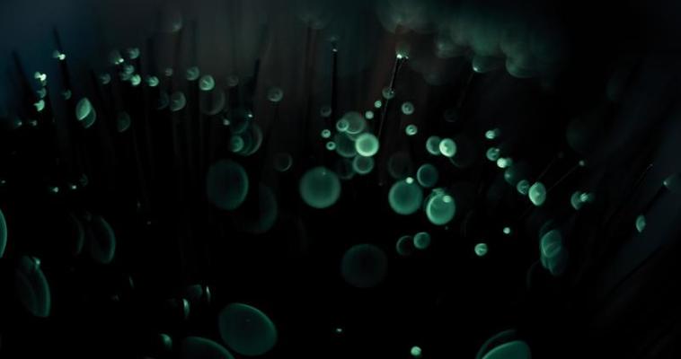 B Roll Stock Video Footage for Free Download