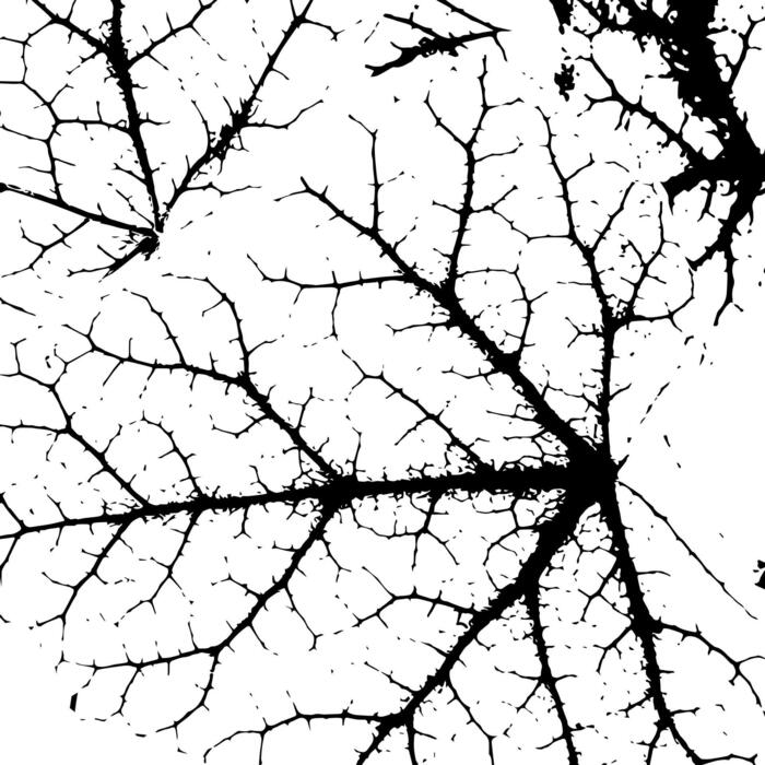 Scratch Texture Vector Art, Icons, and Graphics for Free Download