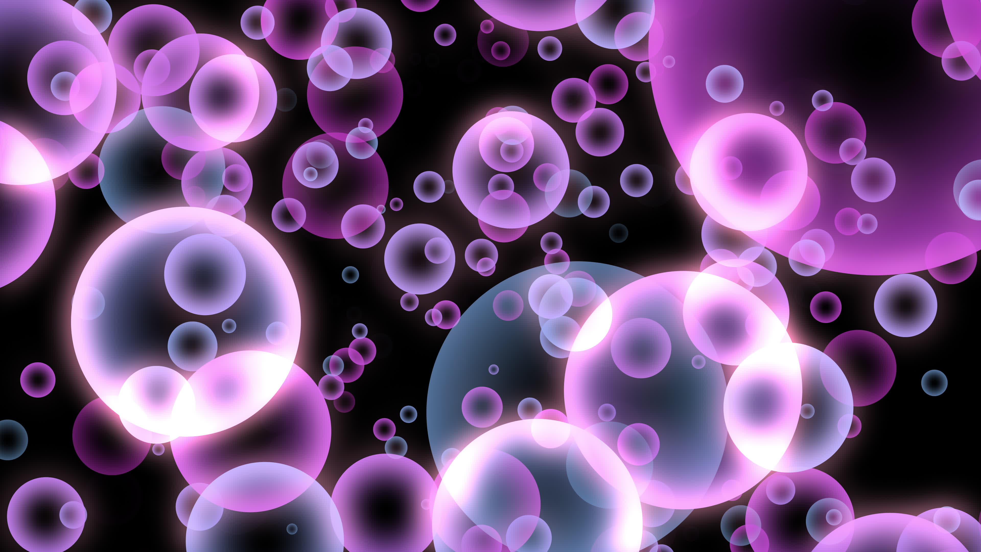 Pink Bubbles Stock Video Footage for Free Download