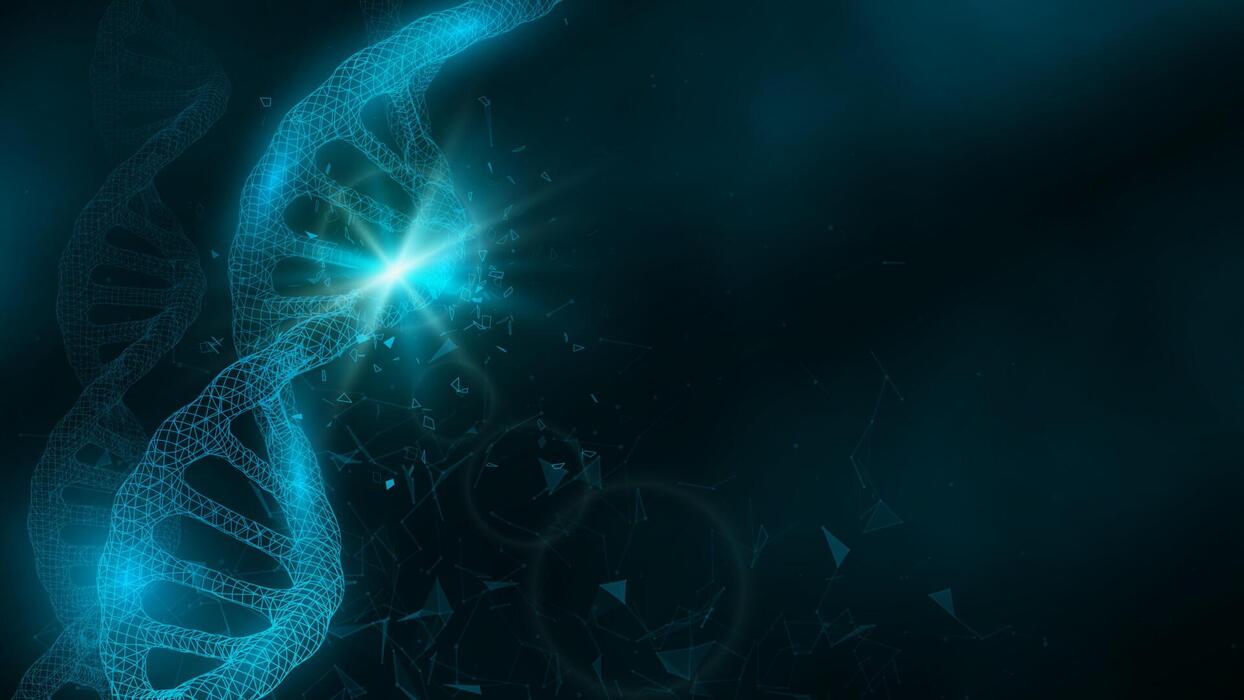 Coding Banner Vector Art, Icons, and Graphics for Free Download