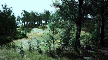 Scenic panoramic view of idyllic rolling hills landscape with blooming ...